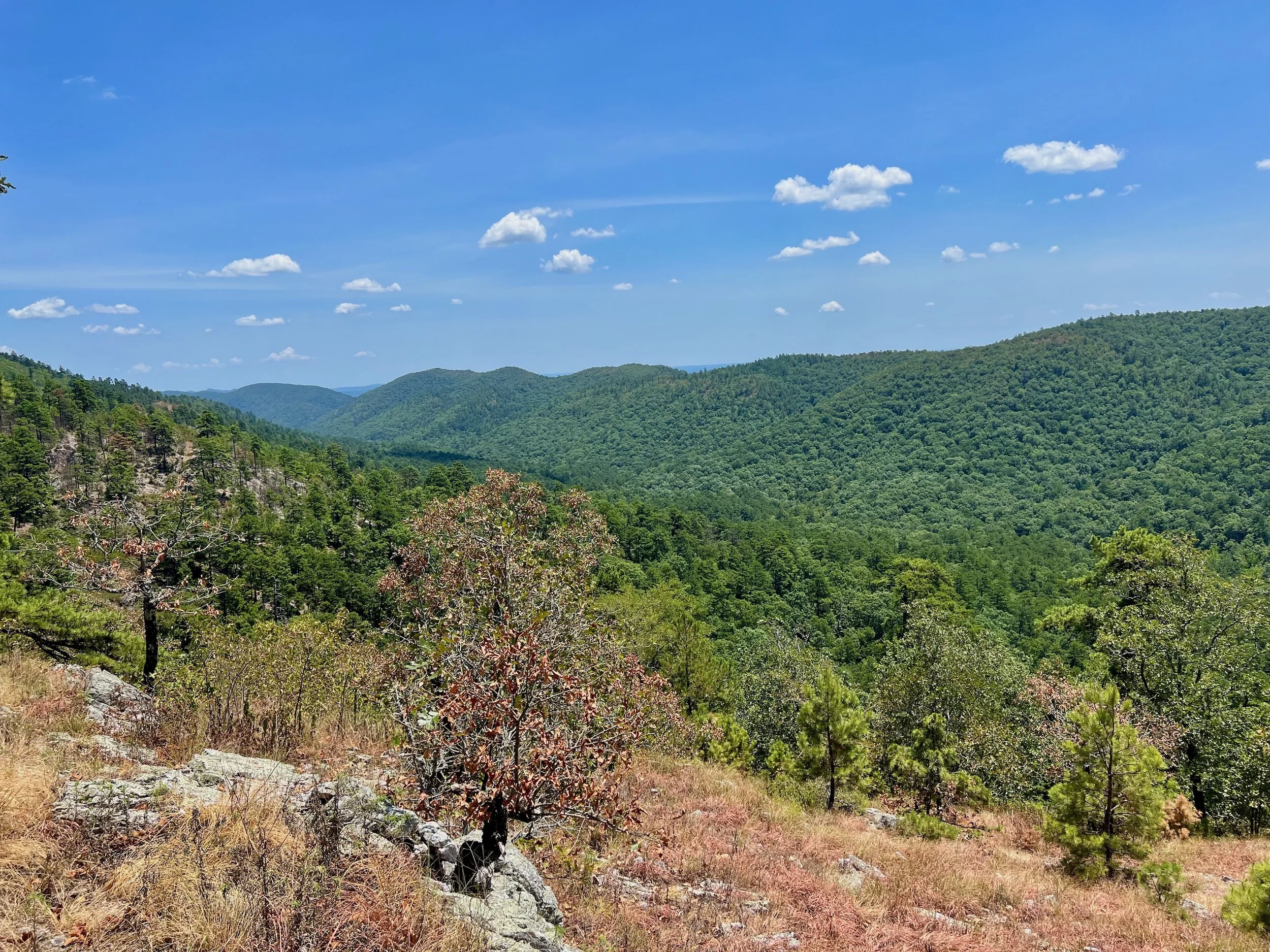Hiking the Eagle Rock Loop in Arkansas - Our Guide and Video for Hiking ...