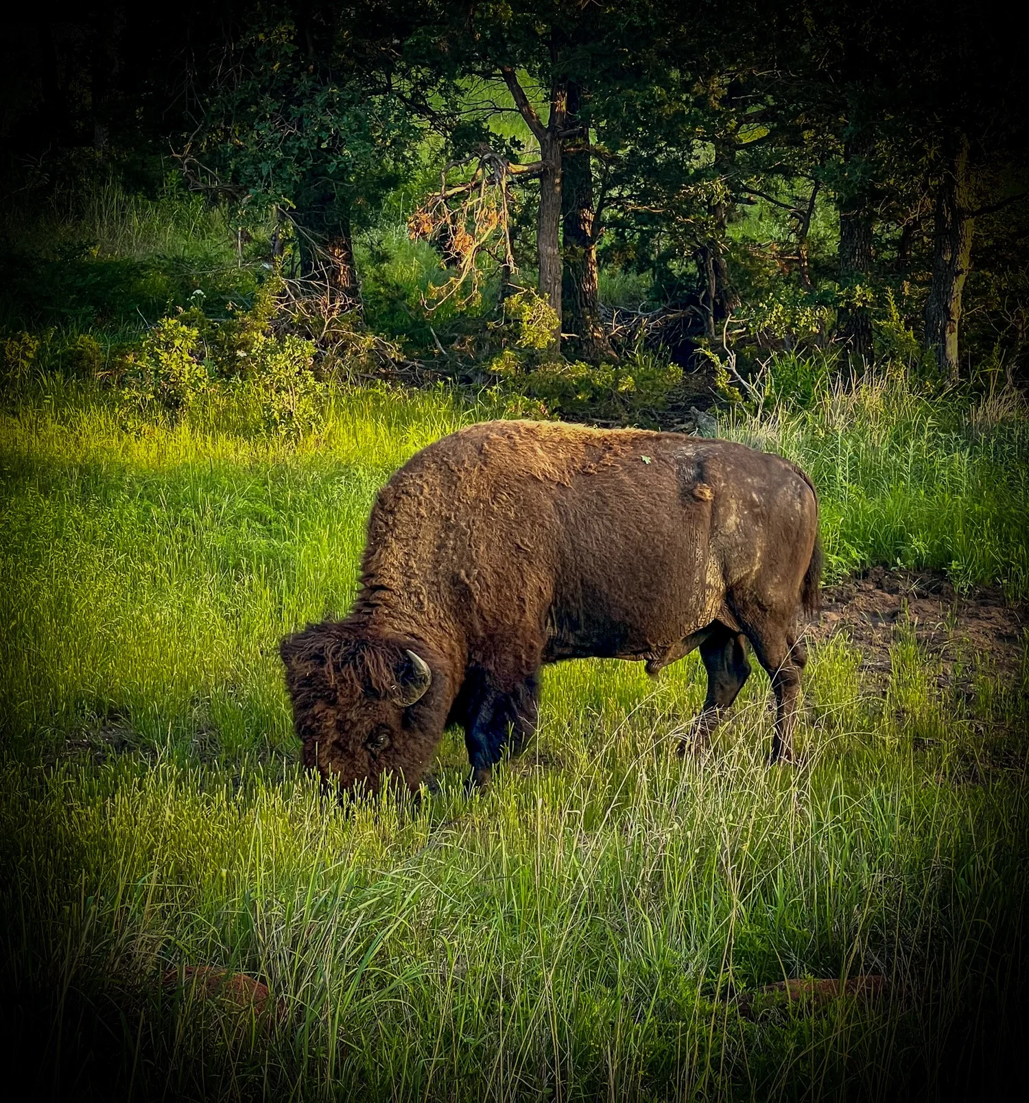 Guide to Visiting the Wichita Mountains Wildlife Refuge for Hikers ...