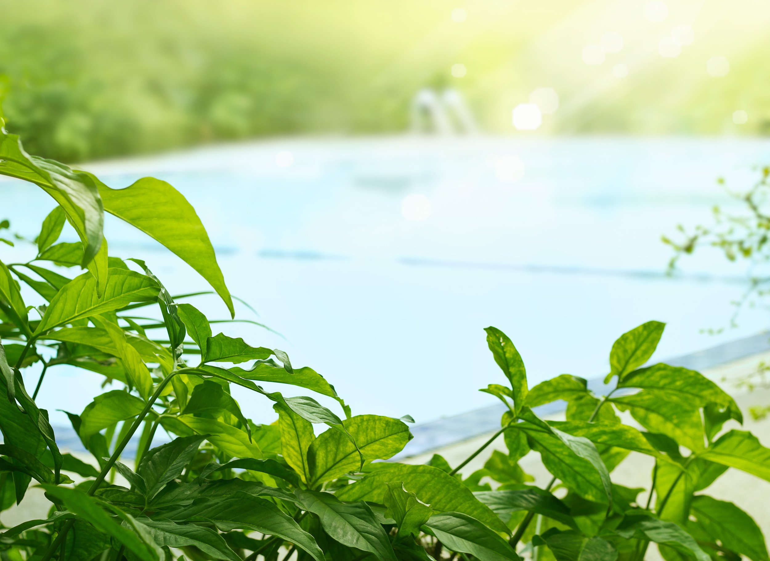 Luxury Pool & Landscape Design Parker CO — Aspenwood Landscaping