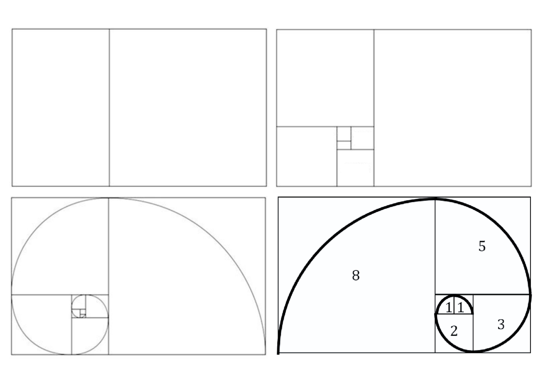 The Golden Ratio & The Fibonacci Sequence — SYLVIA VILLA