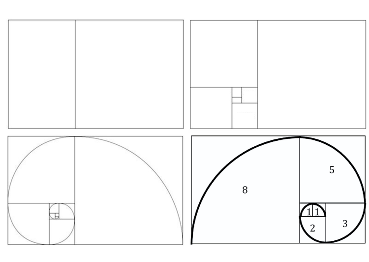 The Golden Ratio & The Fibonacci Sequence — SYLVIA VILLA