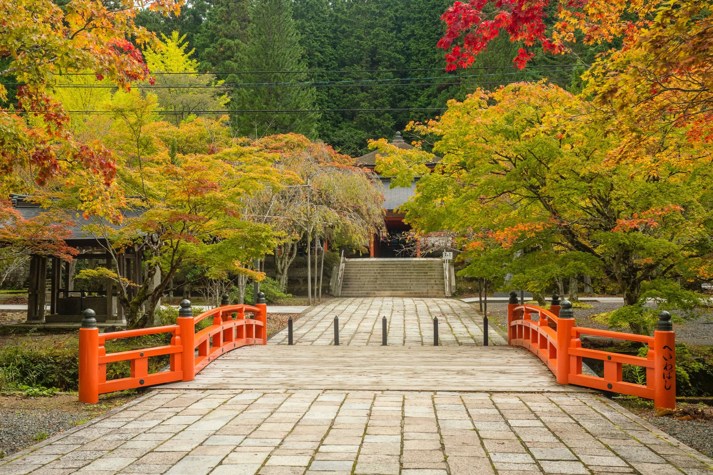 Dominique Side | Explore Buddhism Today