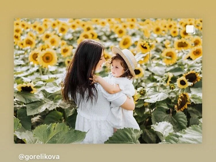 Lee Farms Sunflower Festival