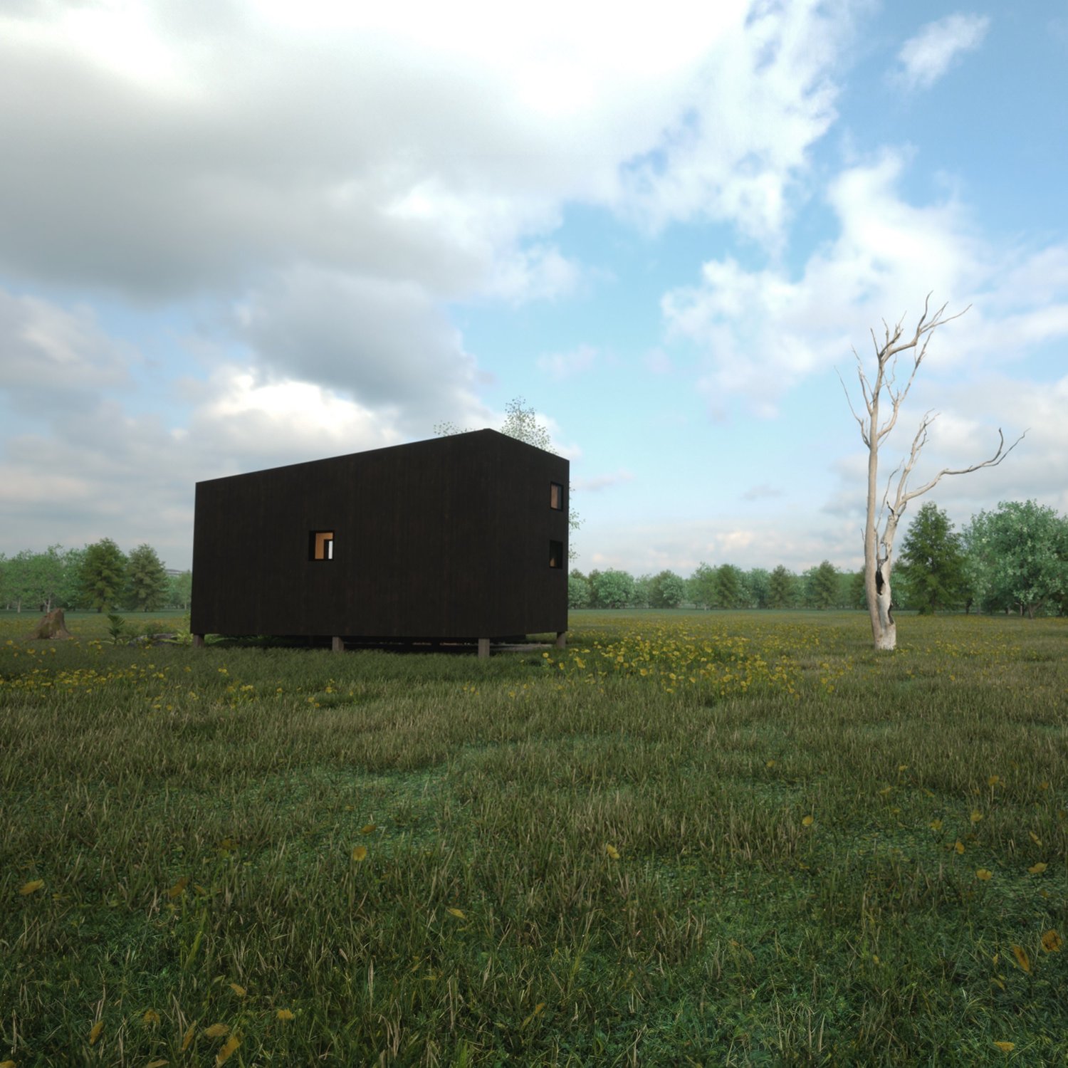 Module 05 — Rise Homes