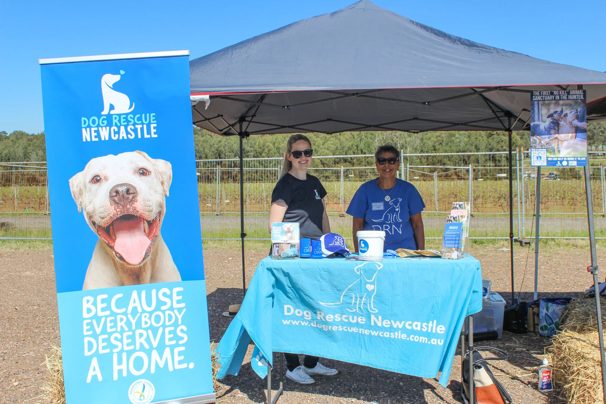 Volunteer | Dog Rescue Newcastle — Dog Rescue Newcastle
