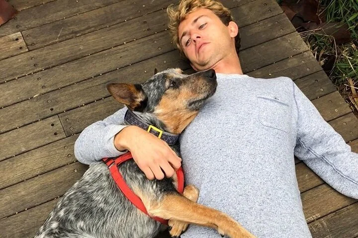 Dog Rescue Newcastle