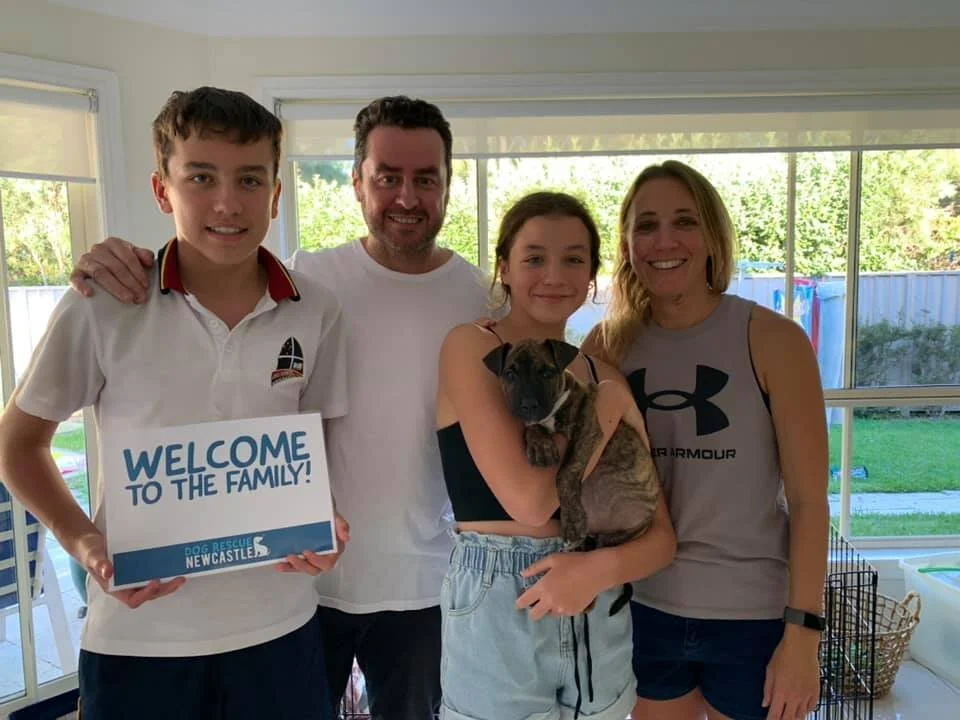 Donate | Dog Rescue Newcastle — Dog Rescue Newcastle