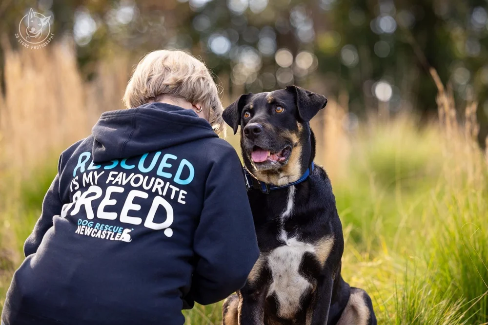 Volunteer | Dog Rescue Newcastle — Dog Rescue Newcastle