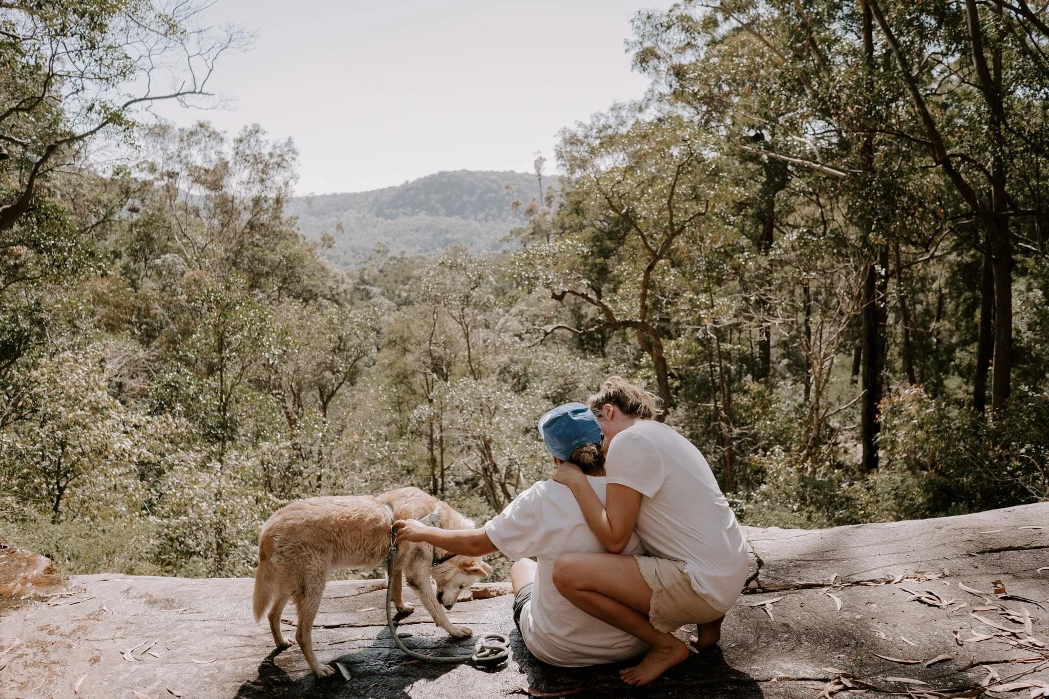 Donate | Dog Rescue Newcastle — Dog Rescue Newcastle