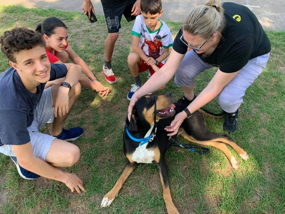 Donate | Dog Rescue Newcastle — Dog Rescue Newcastle