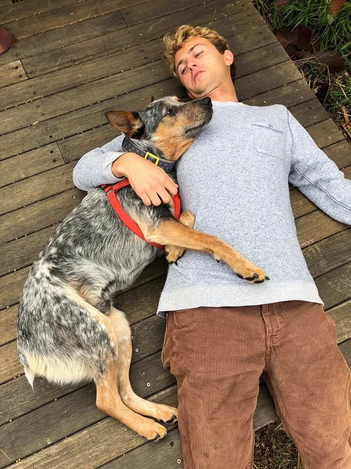 Donate | Dog Rescue Newcastle — Dog Rescue Newcastle