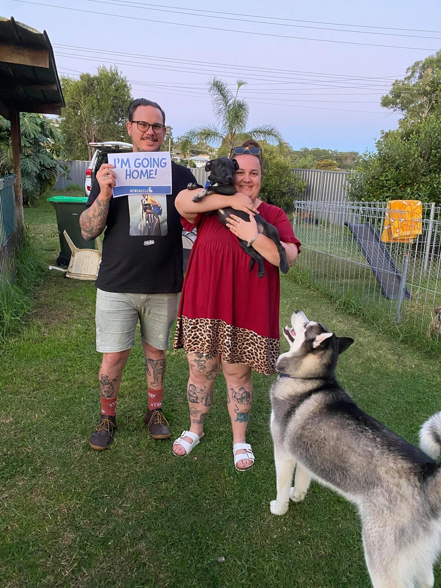 Donate | Dog Rescue Newcastle — Dog Rescue Newcastle