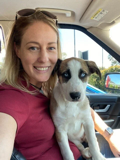 Donate | Dog Rescue Newcastle — Dog Rescue Newcastle