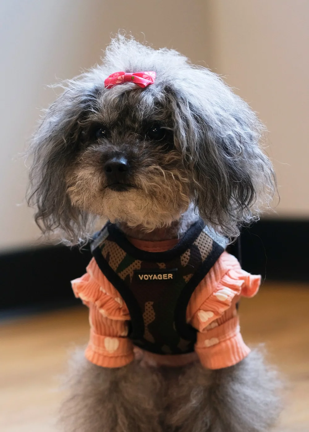 Our Team — Oregon Change Clinic