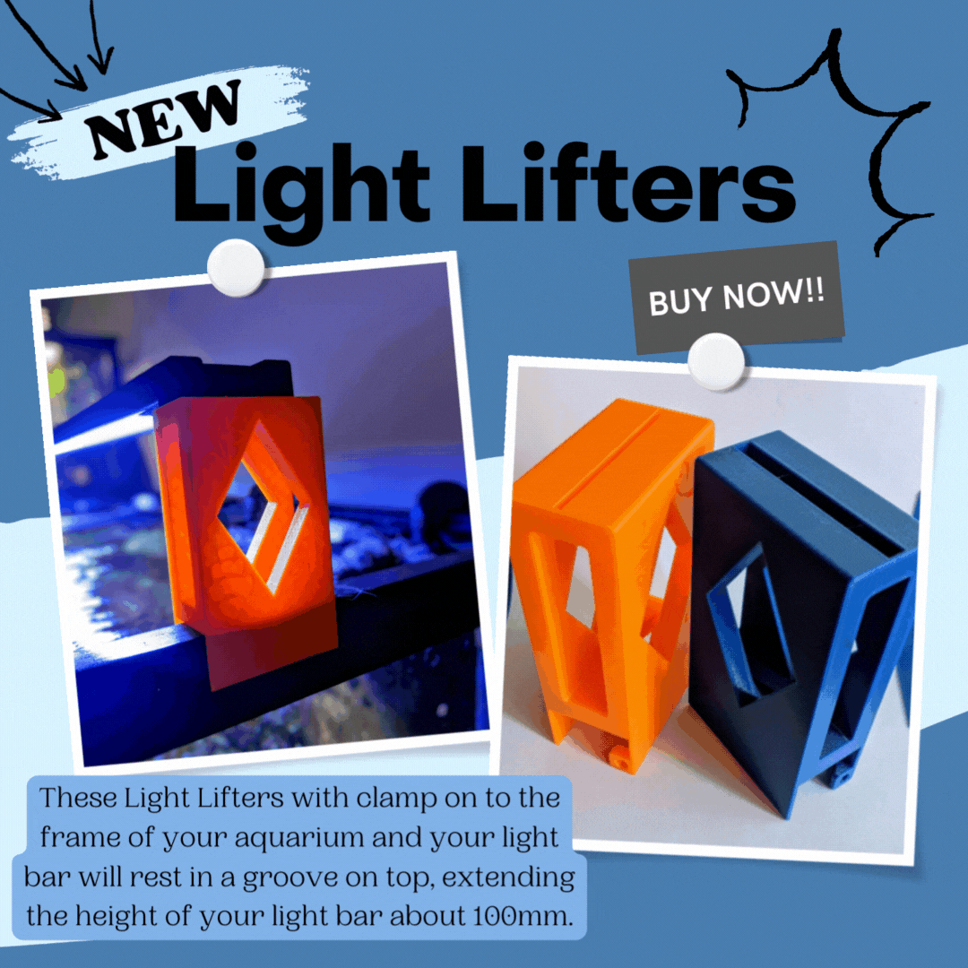 Light Lifters (Set of 2) (Black) — Capital City Aquatics
