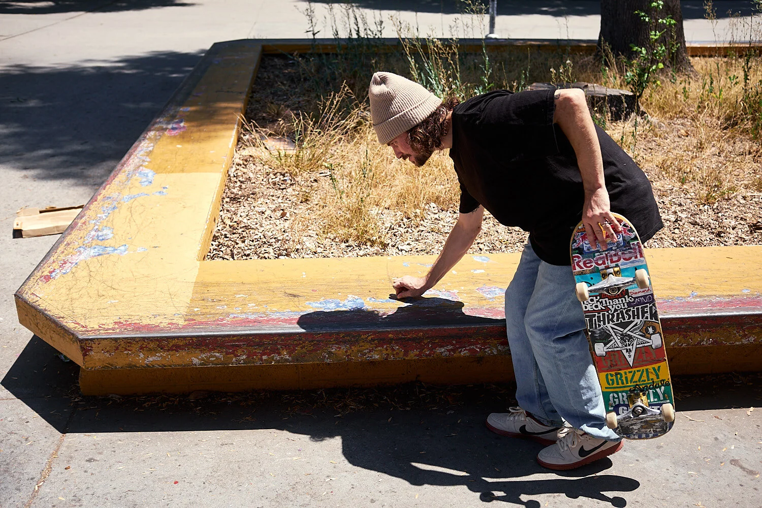 Torey Pudwill Grizzly Shoes