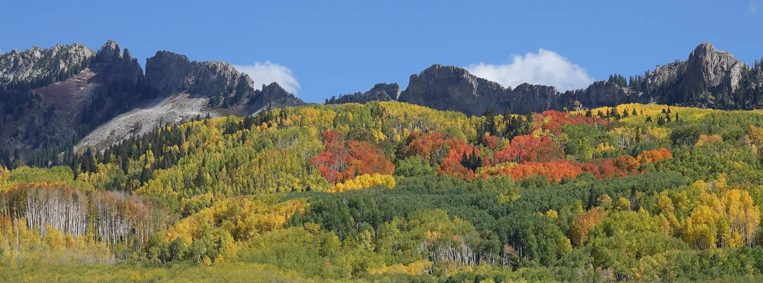 September Nature Almanac: Aspen Leaves Glow and Glimmer, Whisper and ...