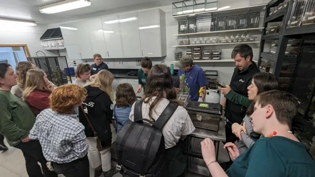 Teen Naturalists: Arthropods at the Butterfly Pavillion — Boulder County Audubon