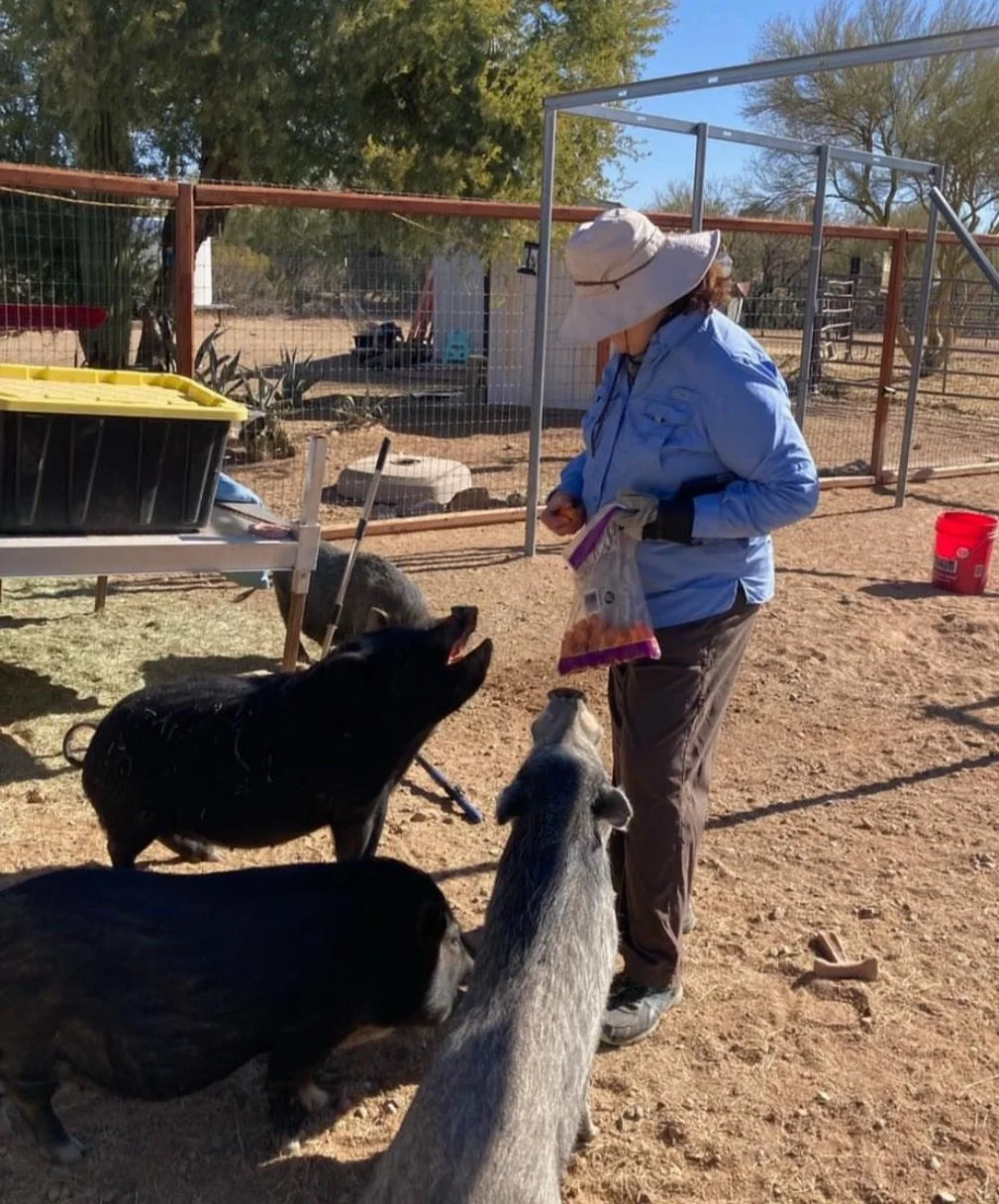 Old Souls Animal Rescue and Retirement Home | Tucson, Arizona