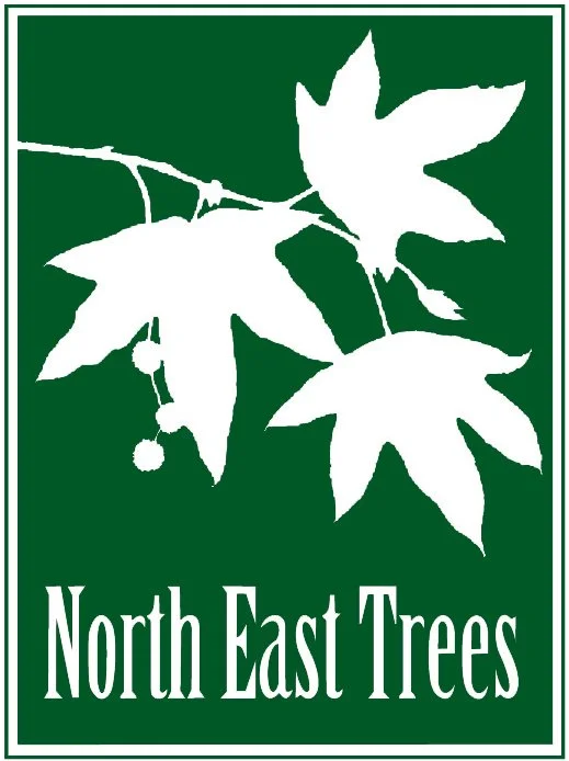 Our Work — North East Trees