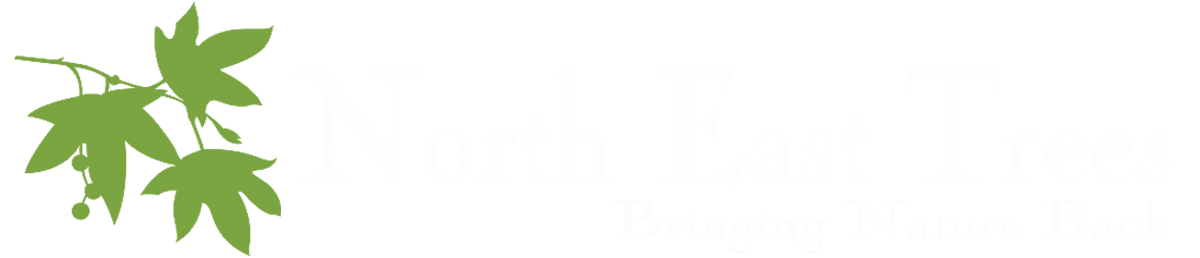 North East Trees