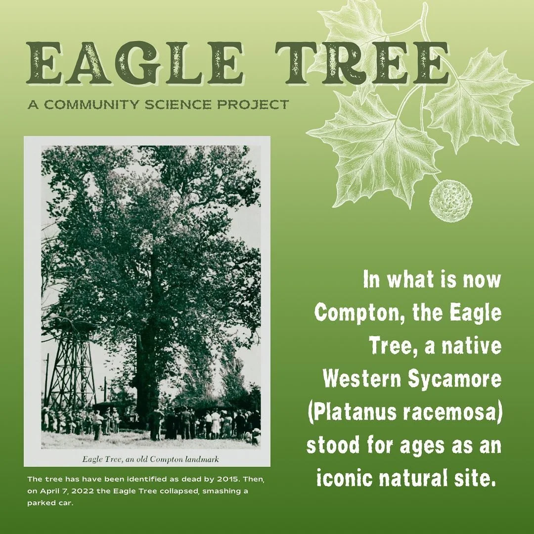 Contact — North East Trees