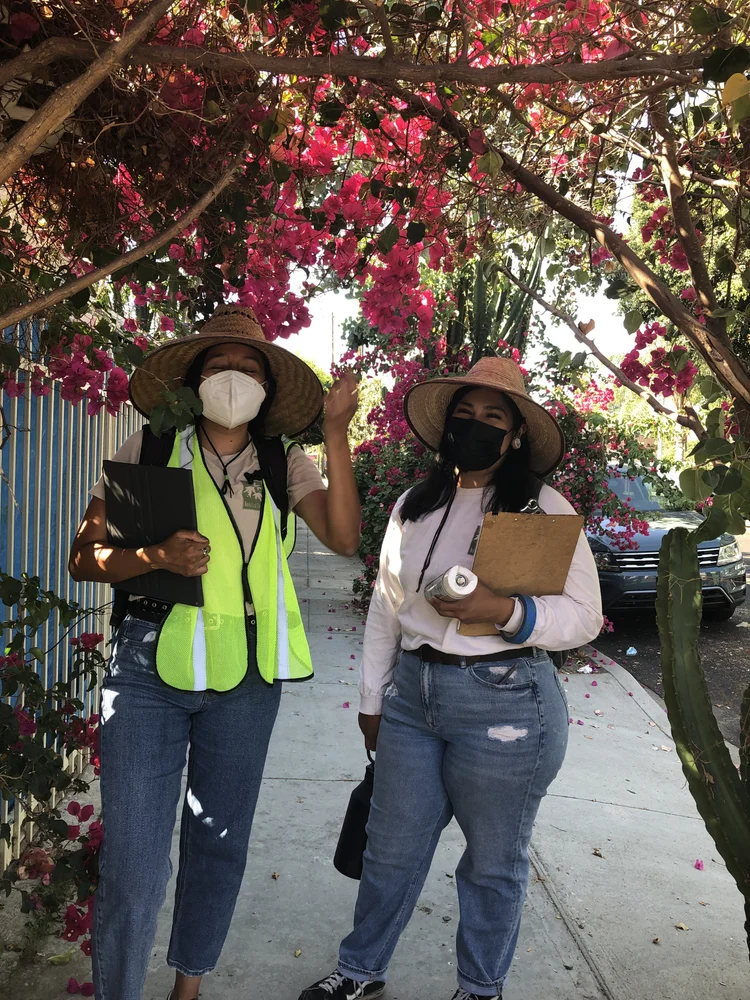 In The News — North East Trees