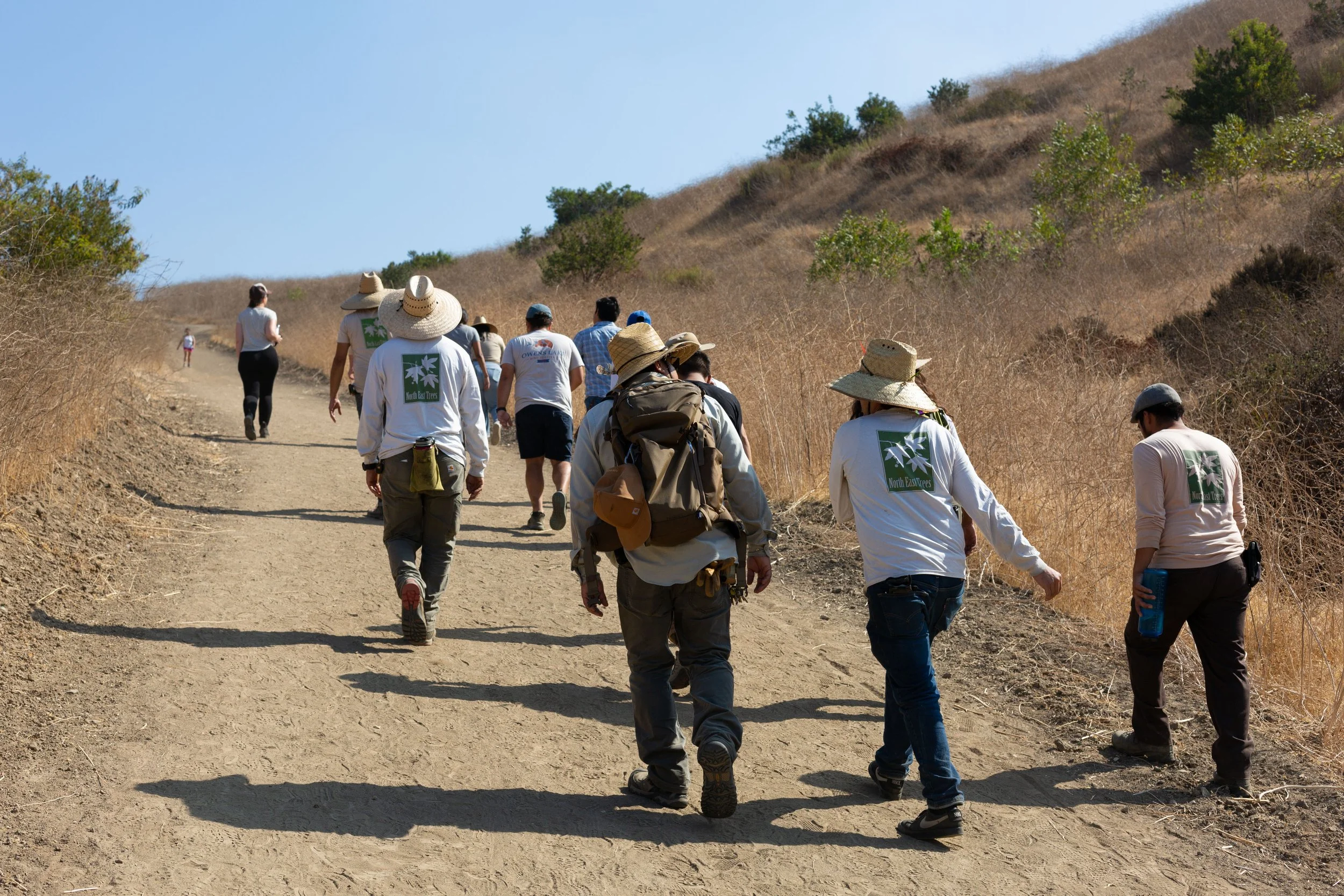 Careers — North East Trees