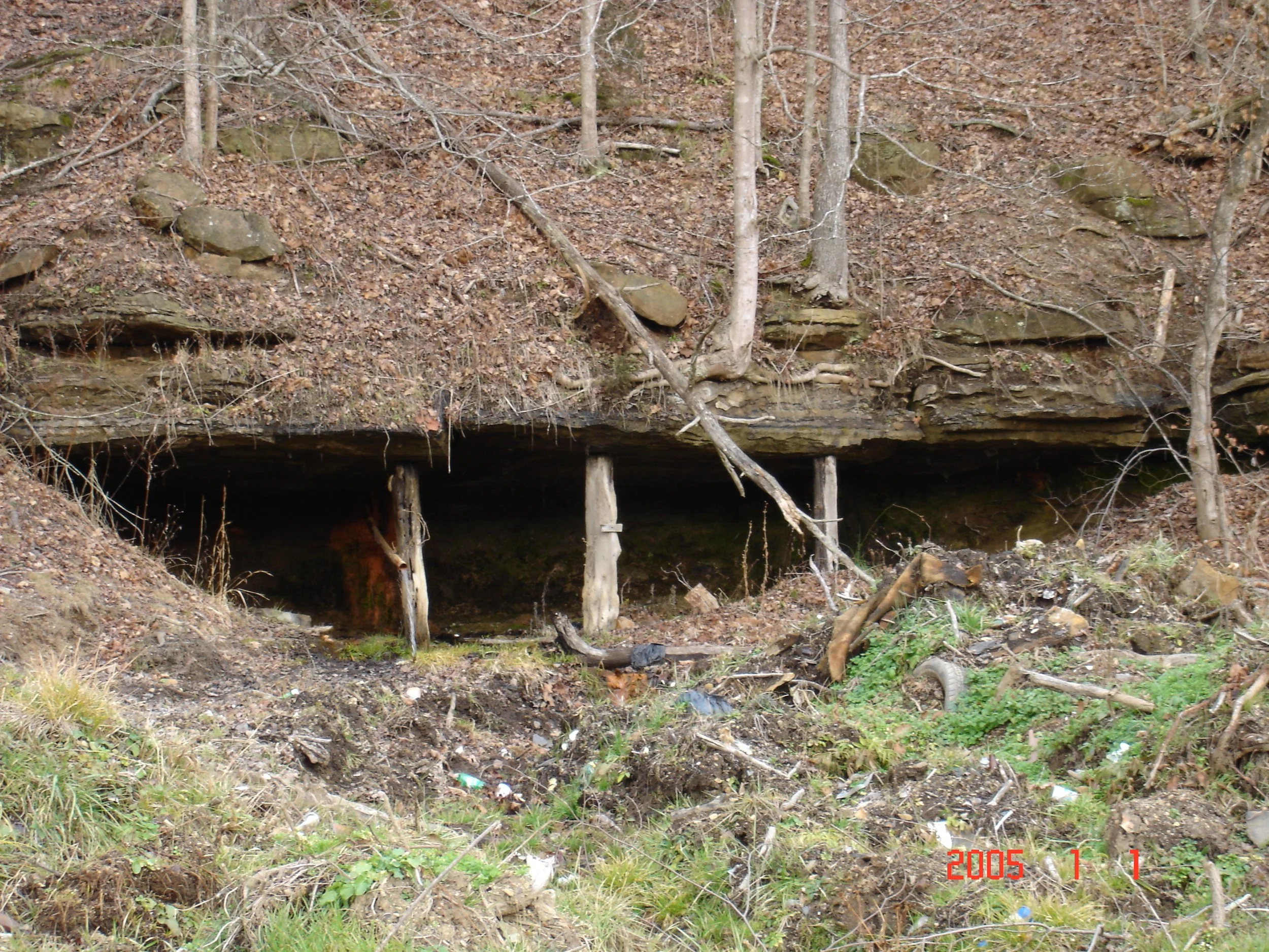 The Dripping Springs Hotel — KentuckyHistory.co