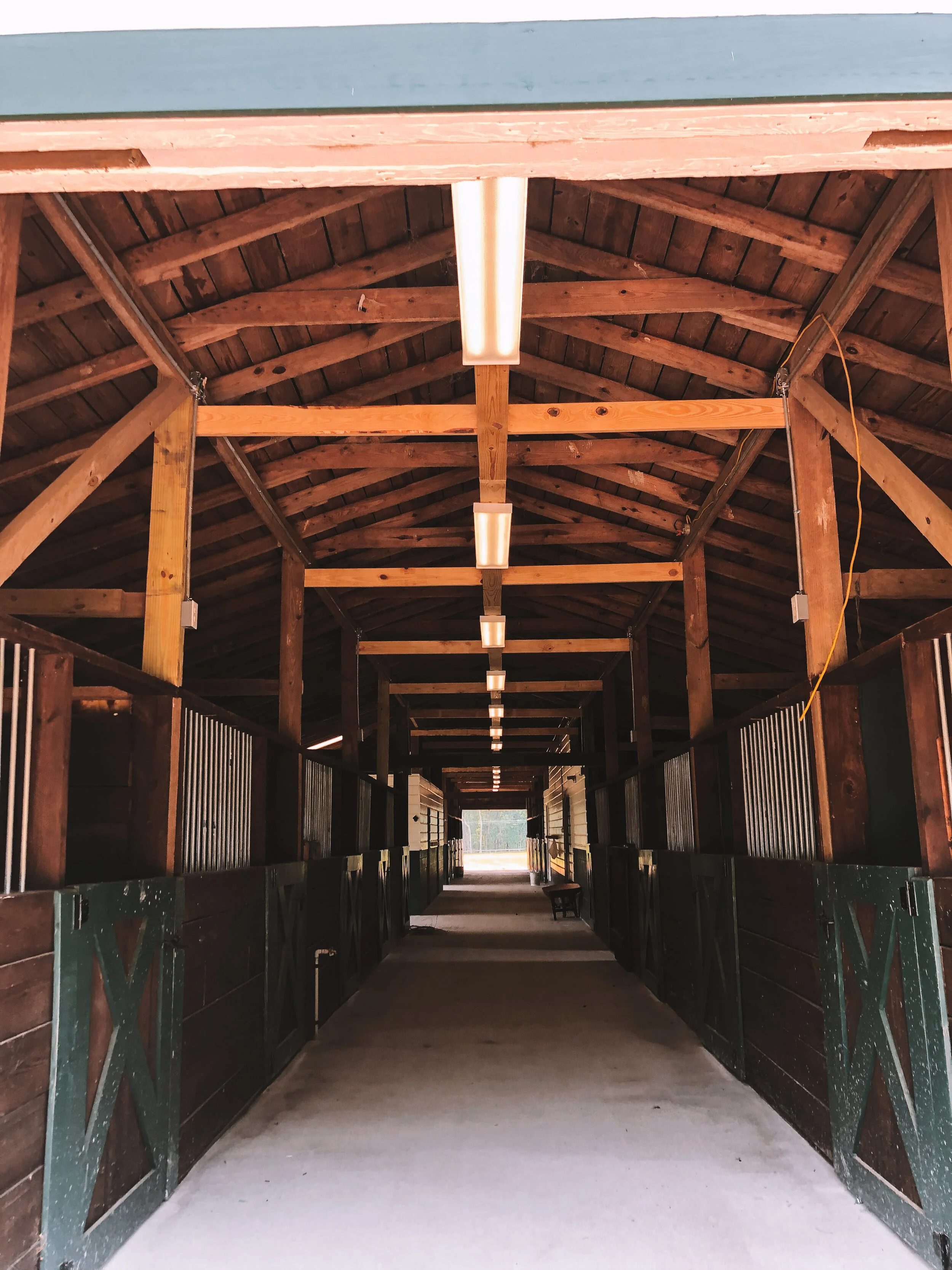 Farm — Three Fox Farm