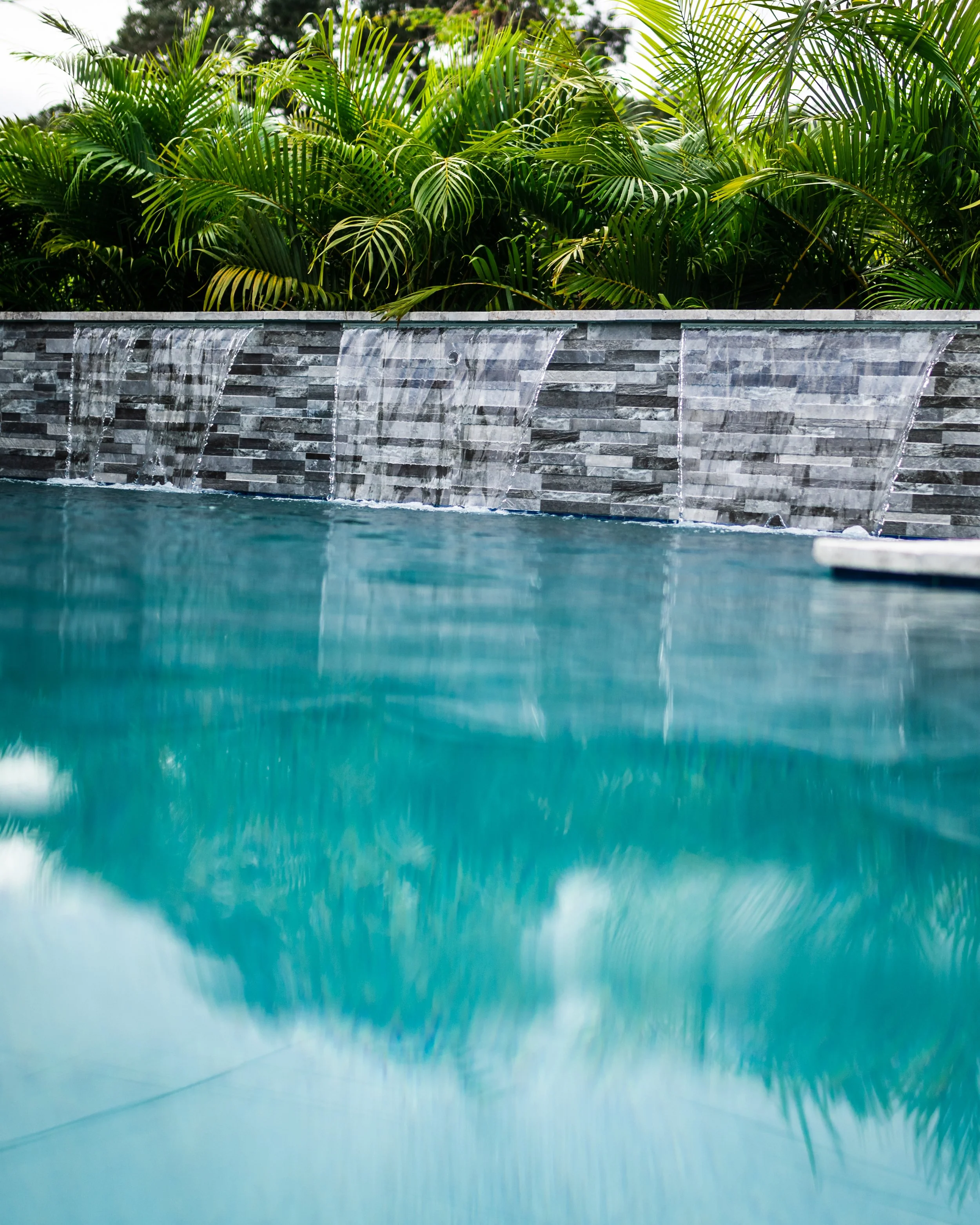 South Tampa Modern — Landscape Fusion