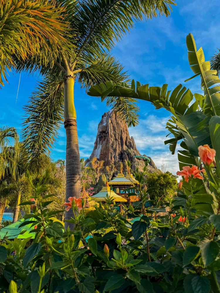 Discover the best of Universal Orlando and Disney Parks with Miss ...