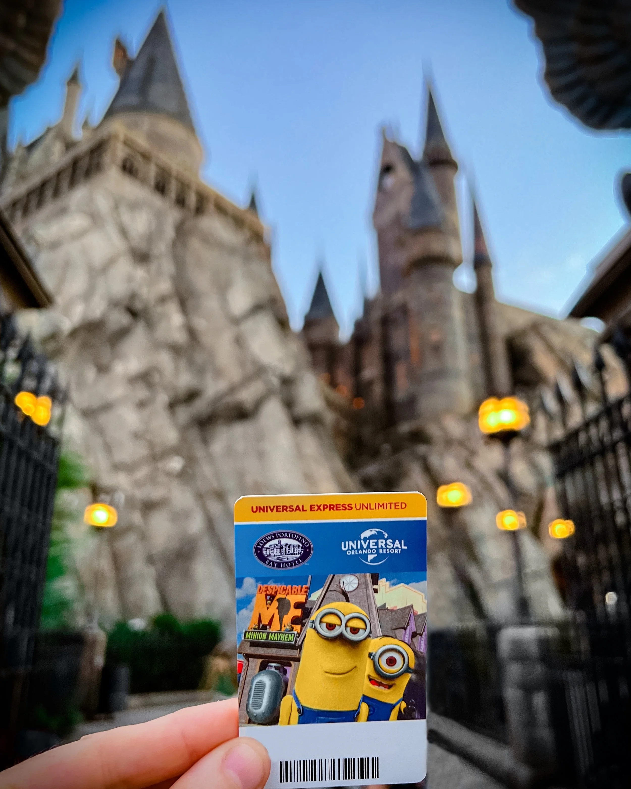 Miss Wizarding World