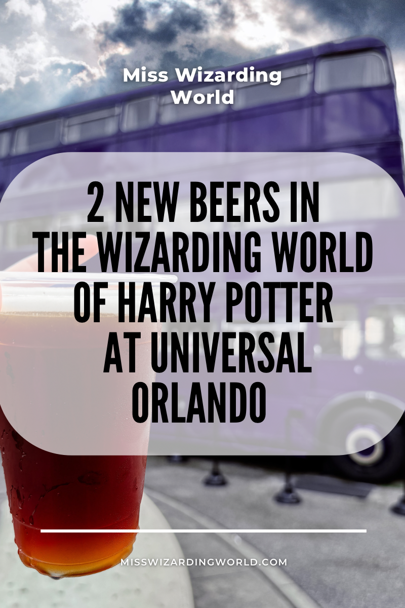 Miss Wizarding World