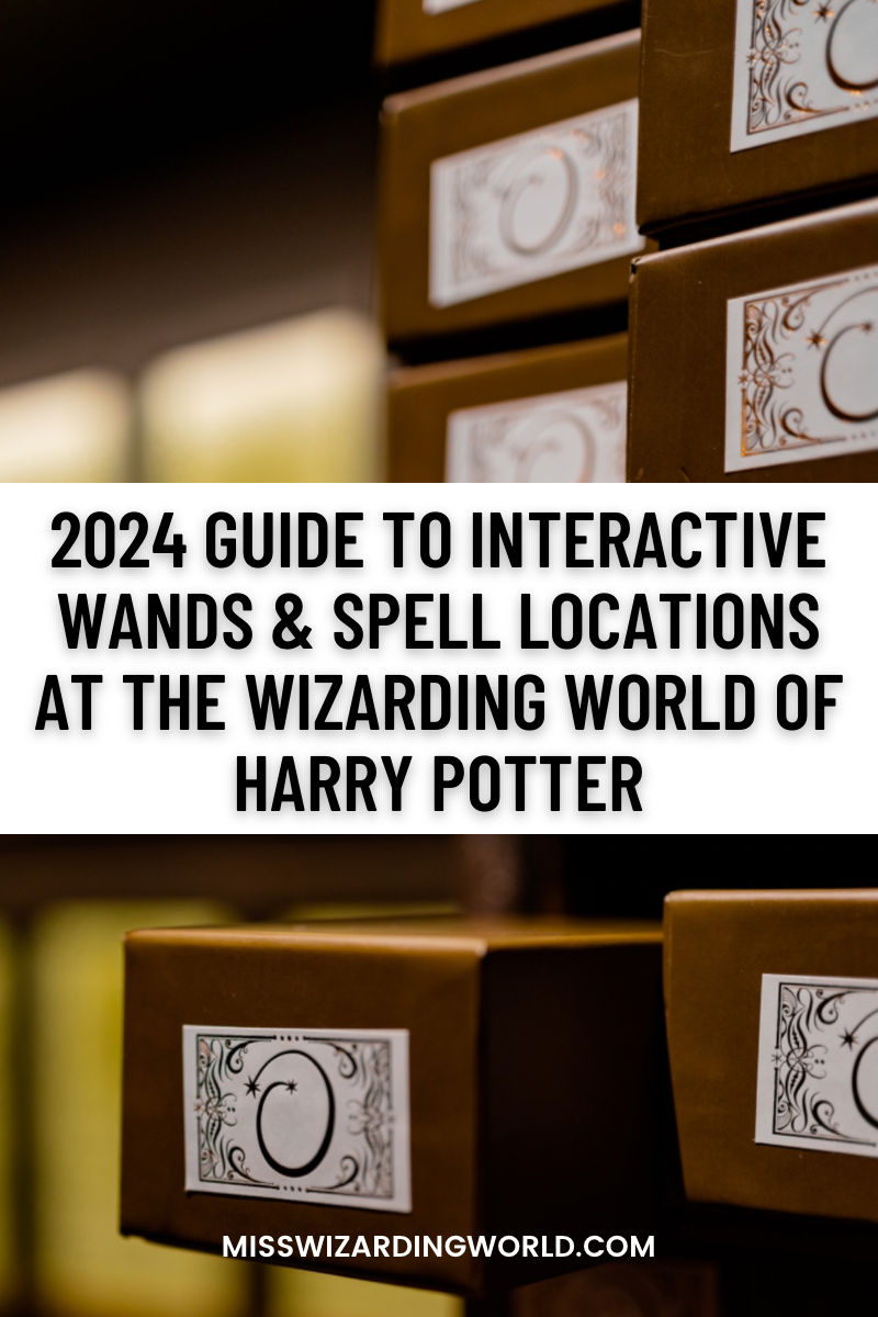 Miss Wizarding World