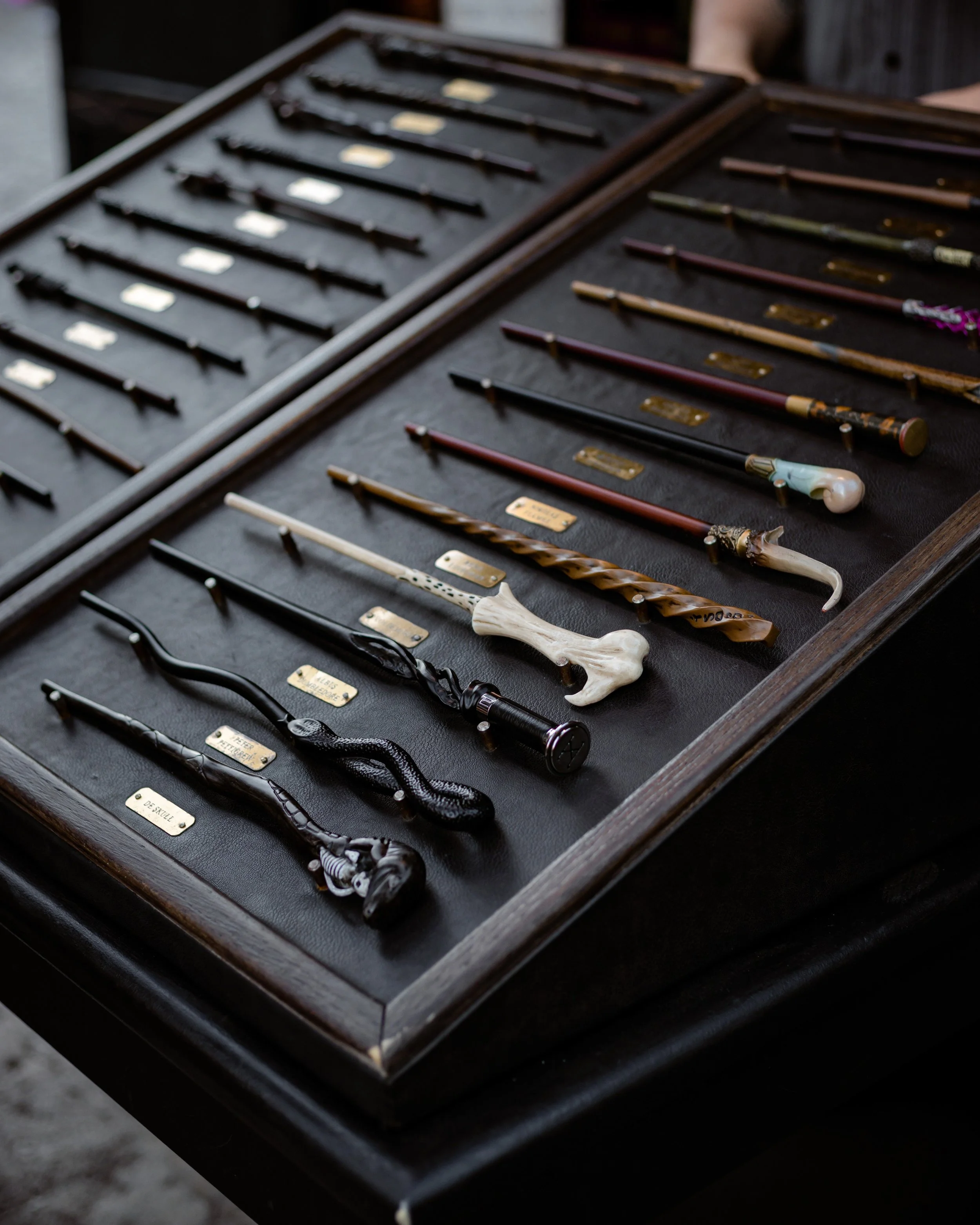 Miss Wizarding World