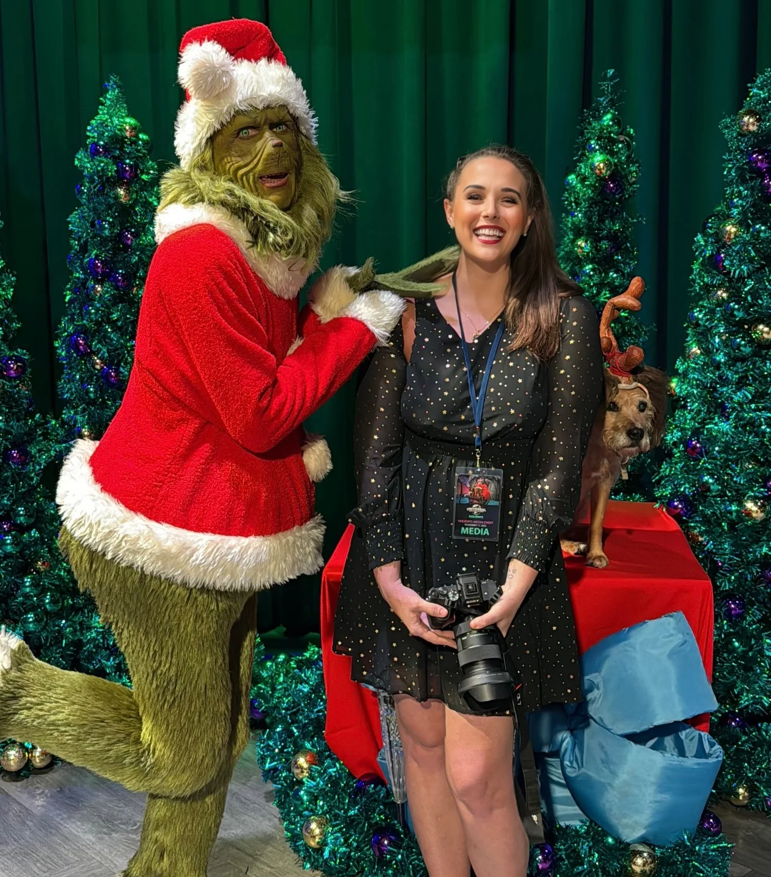 Discover the best of Universal Orlando and Disney Parks with Miss ...