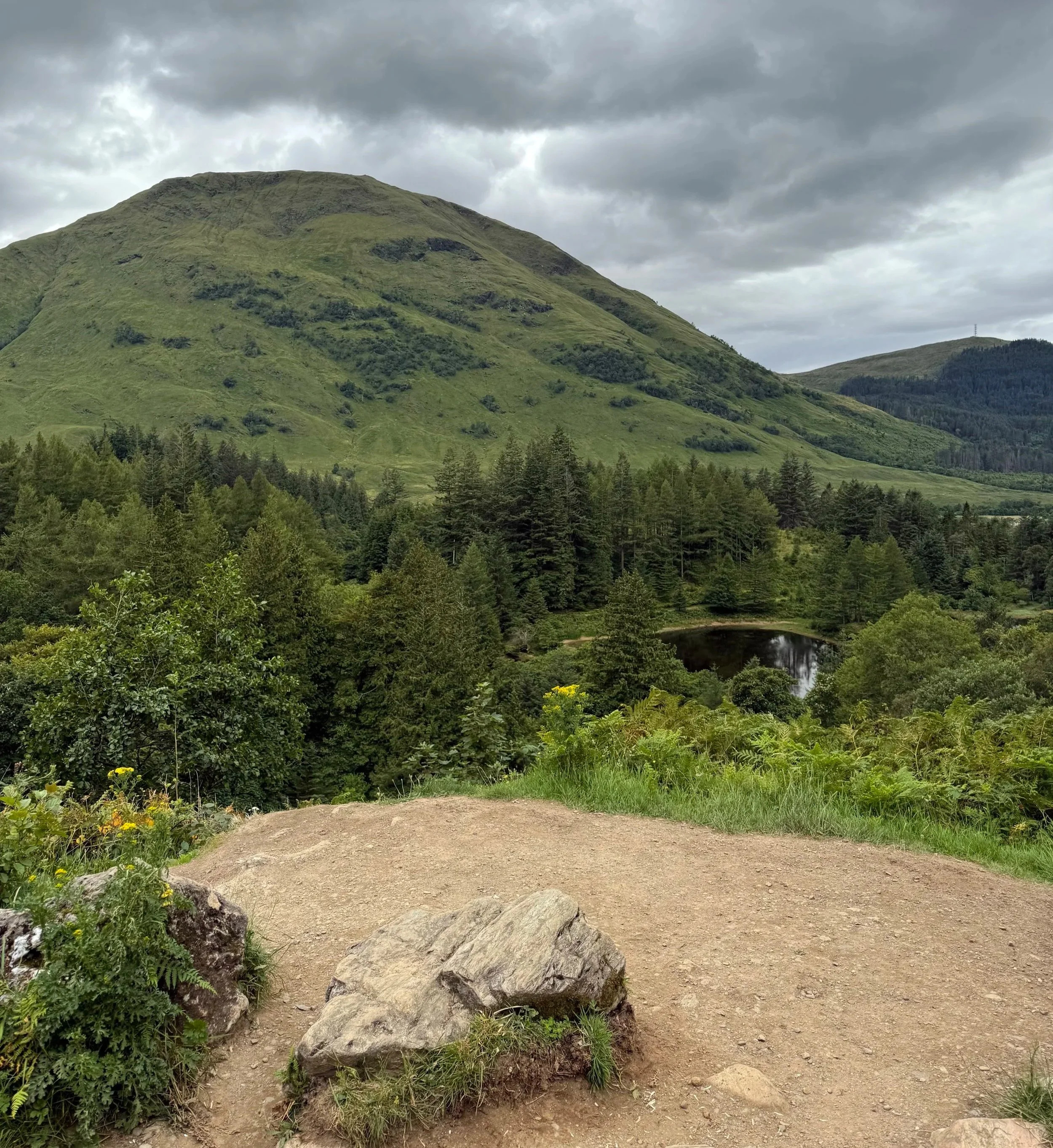 Discover the best of Universal Orlando and Disney Parks with Miss ...