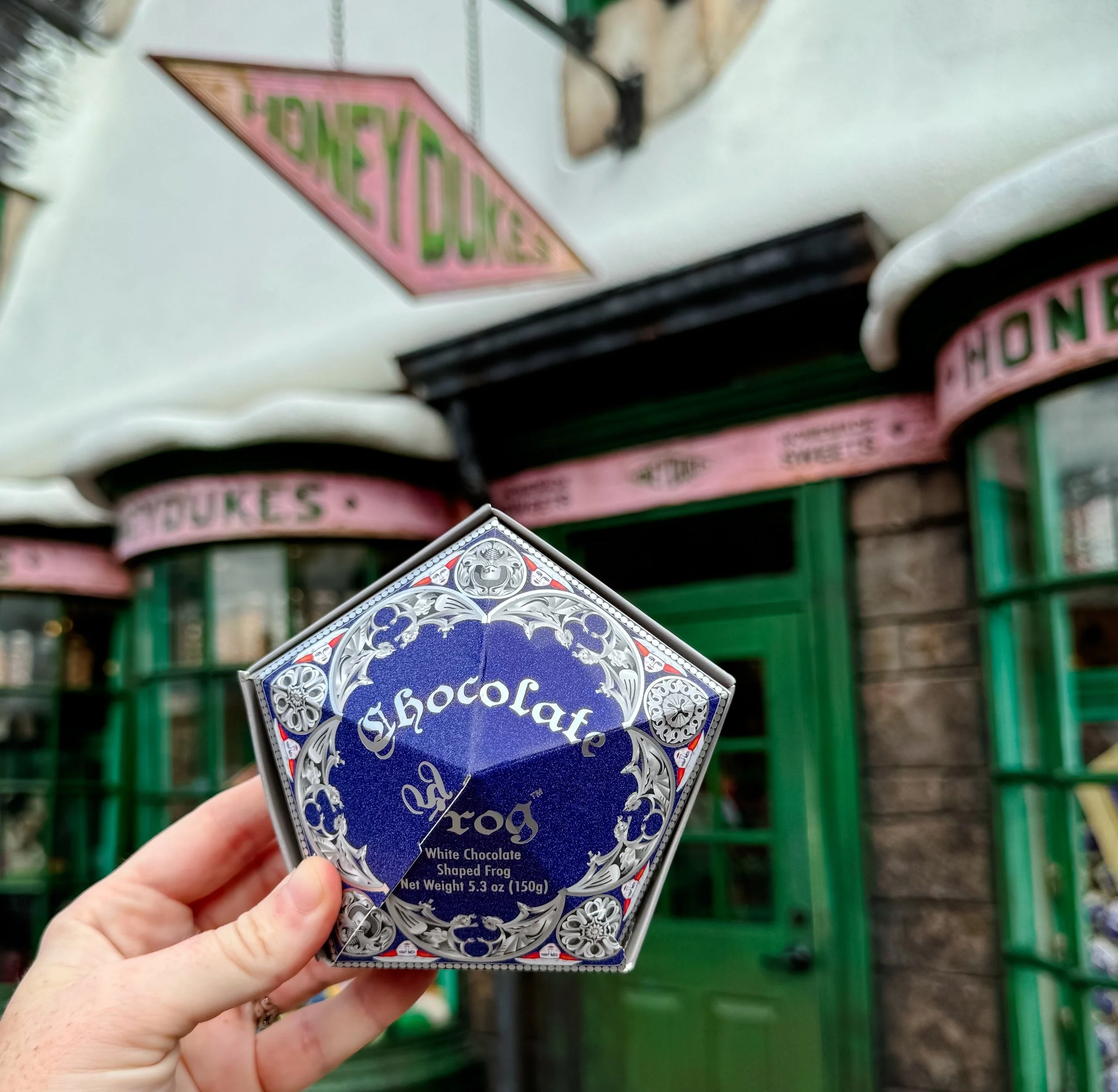 Discover the best of Universal Orlando and Disney Parks with Miss ...