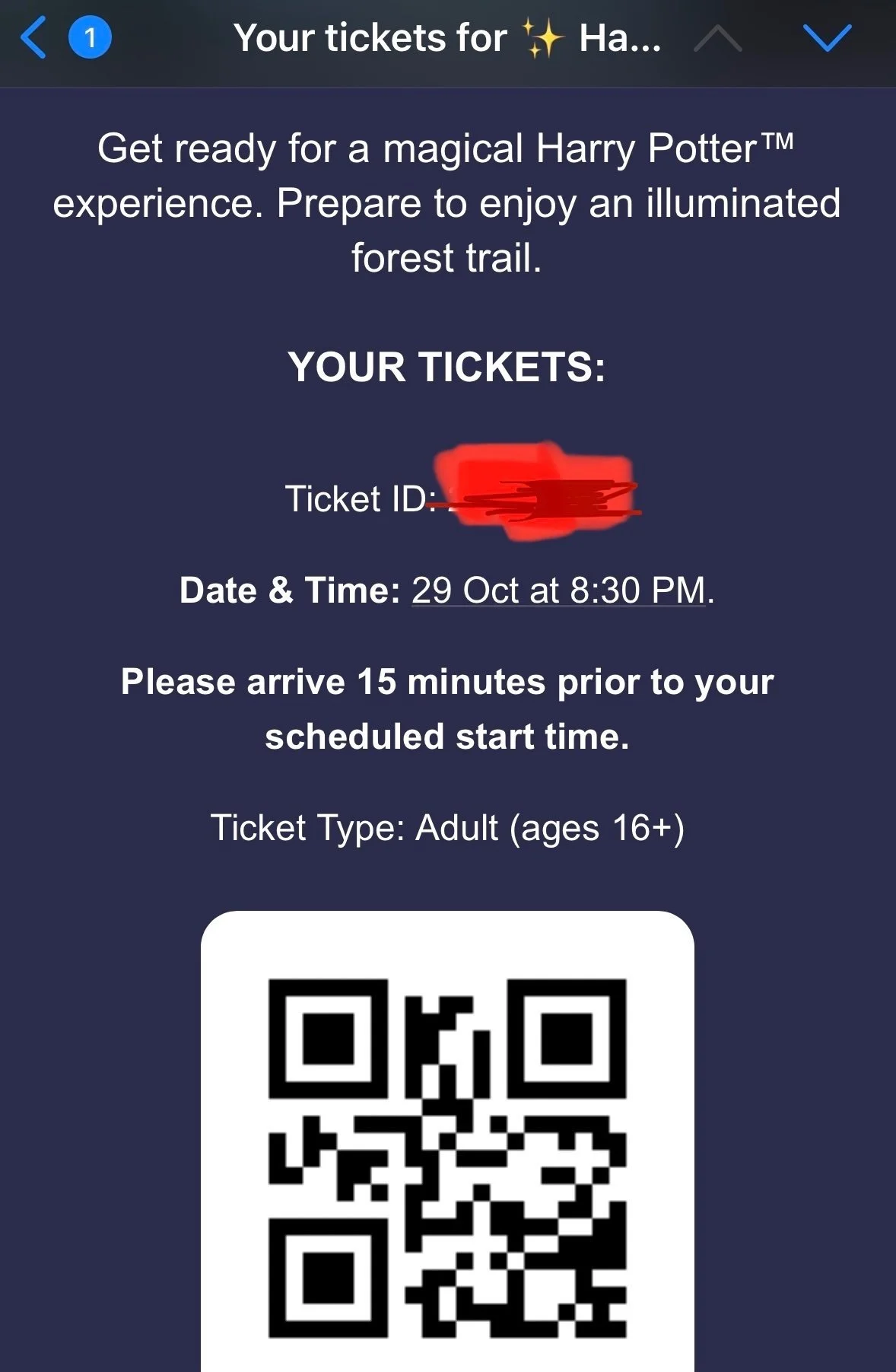 Miss Wizarding World | Universal & Disney Travel Guides, Reviews & Wizarding World of Harry ...