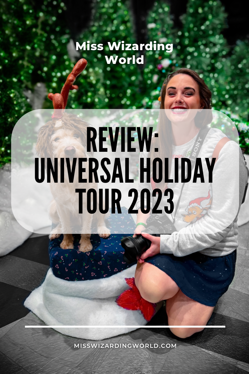 Miss Wizarding World