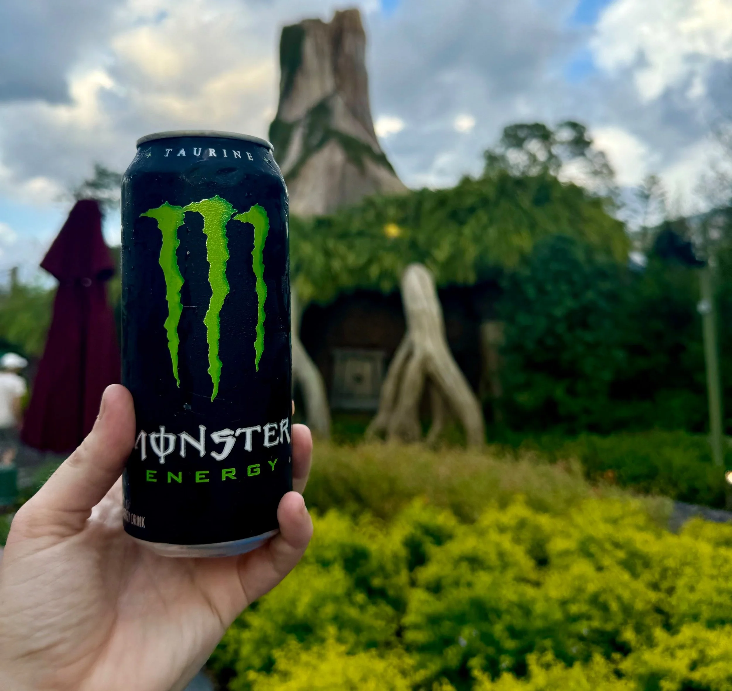 Discover the best of Universal Orlando and Disney Parks with Miss ...