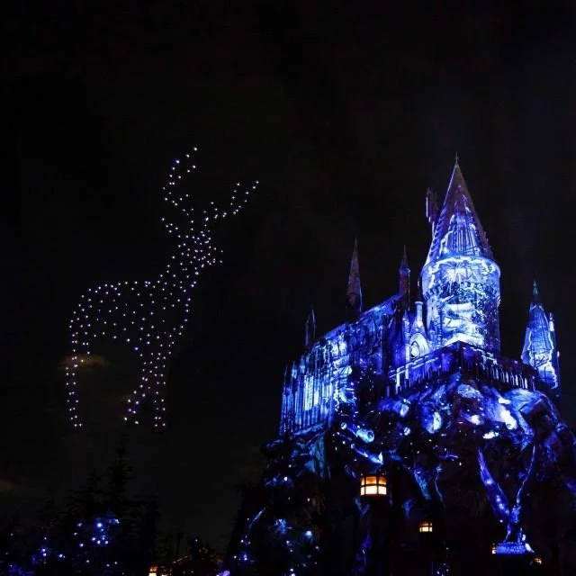 Miss Wizarding World