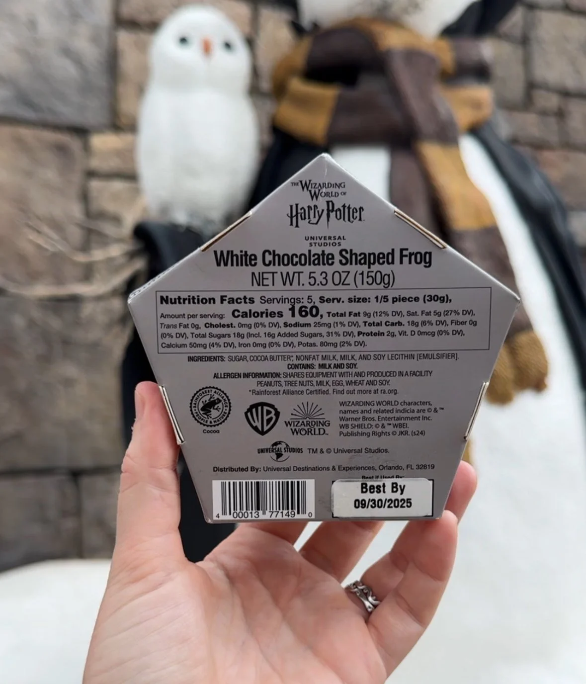 Discover the best of Universal Orlando and Disney Parks with Miss ...