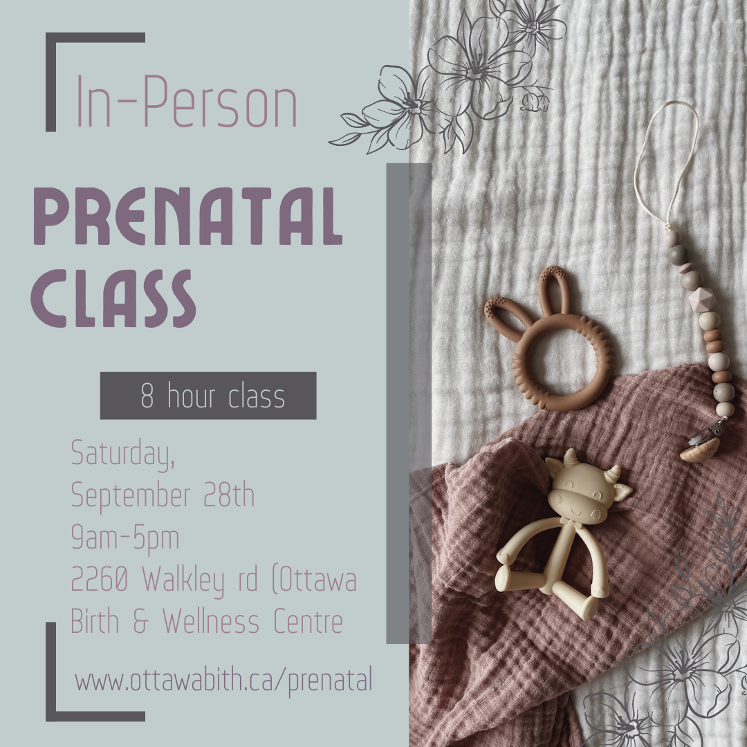 In Person Prenatal Classes in Ottawa — Ottawa Birth- Doula Support ...