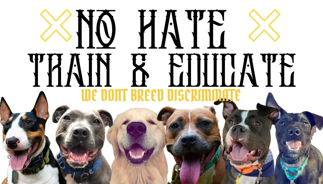 Valhalla Dog Training