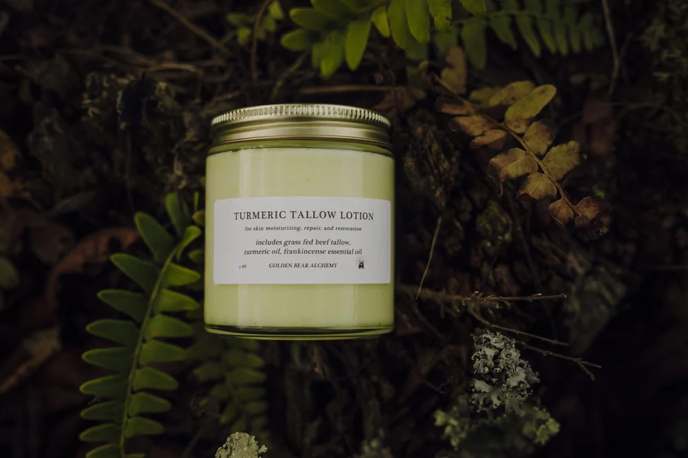 turmeric tallow face cream lotion — Golden Bear Alchemy