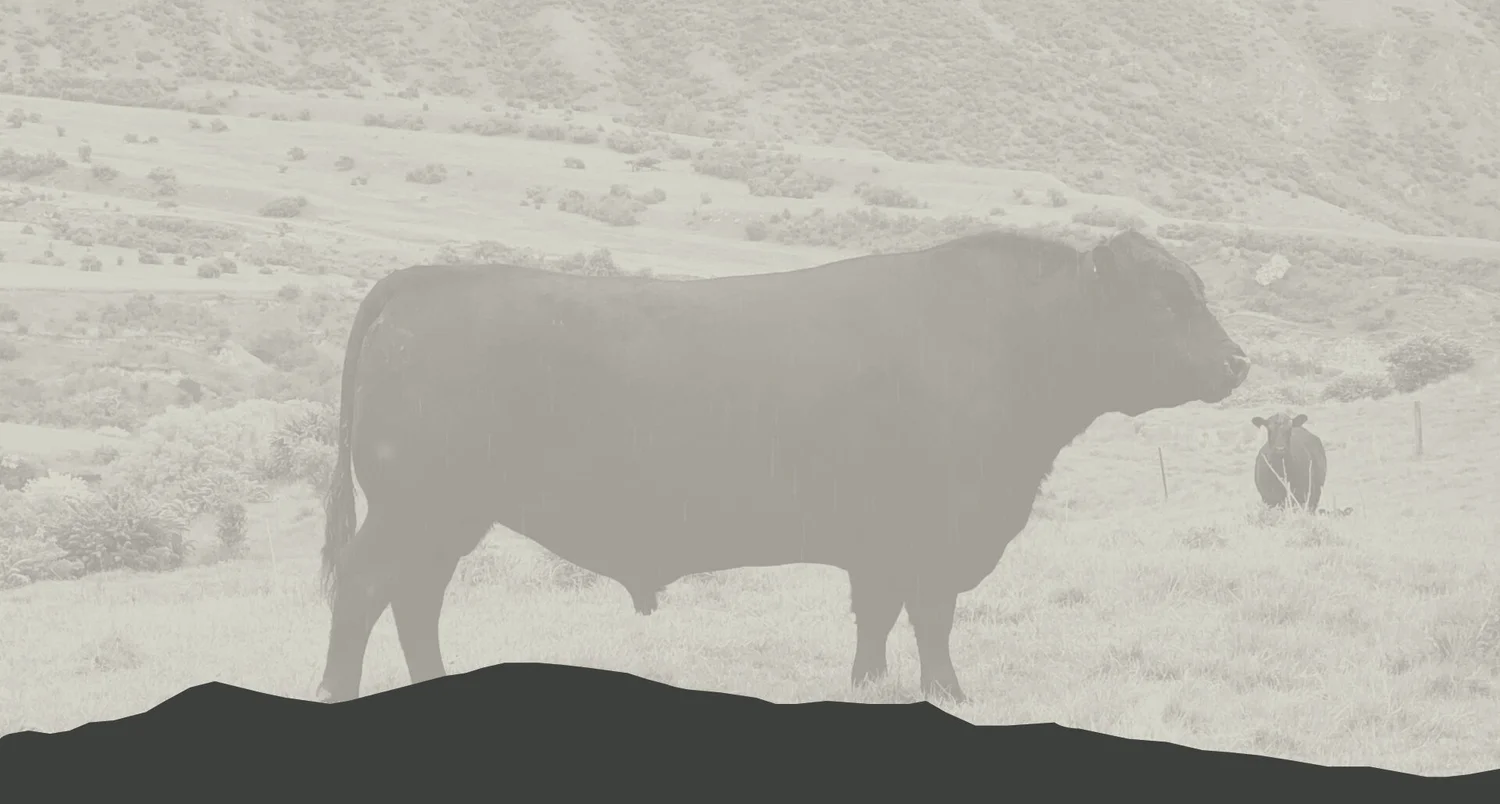 Kincardine Angus