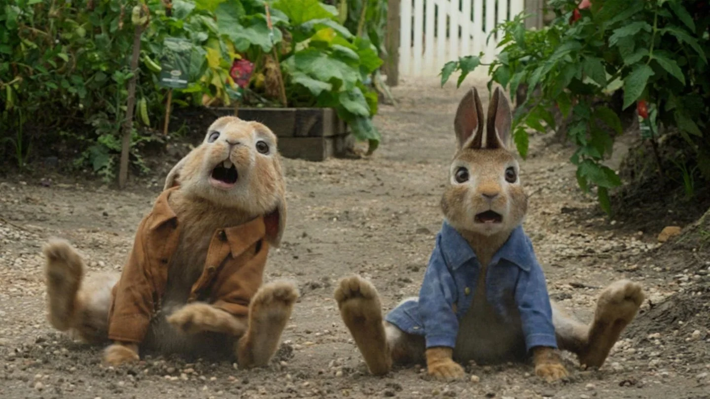 Top 10 Movies For Spring Break — Clique