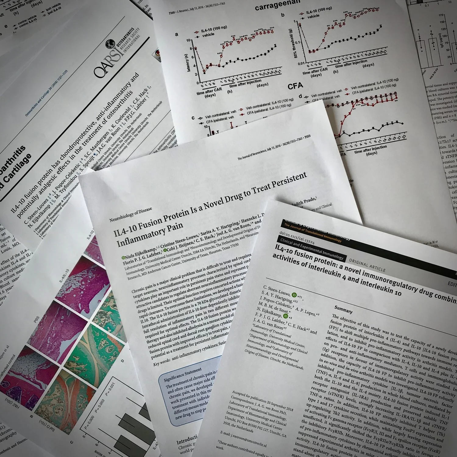 Technology of Synerkine Pharma — Synerkine Pharma